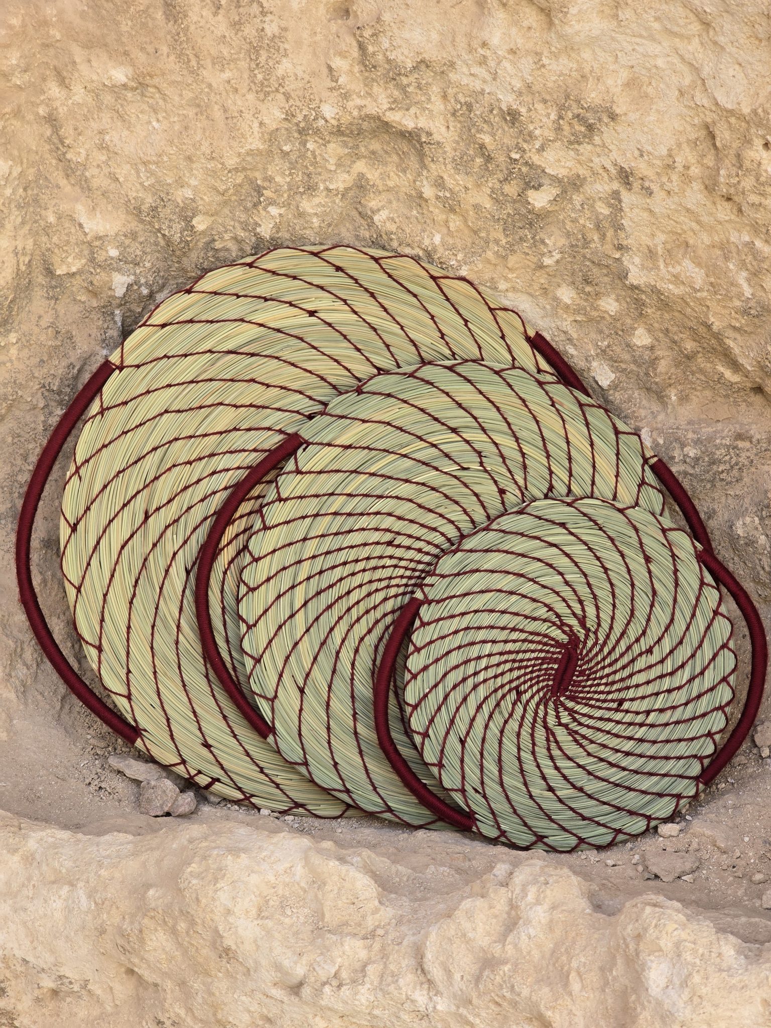 Acacia Siwa - Acacia siwa